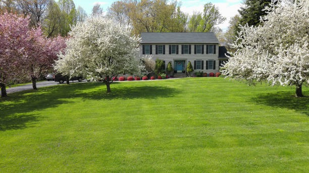 Seasonal Lawn Care Guide: Maintaining Beauty All Year Round - Totix